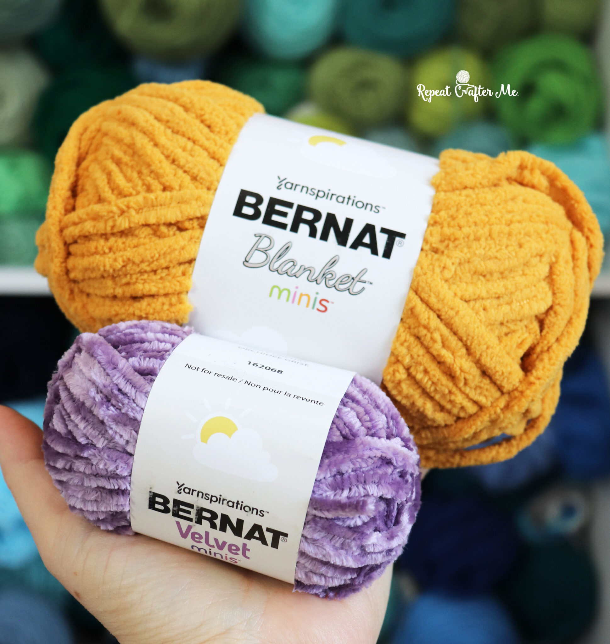 Bernat Blanket Mini Yarn Crochet Bug Club - Repeat Crafter Me